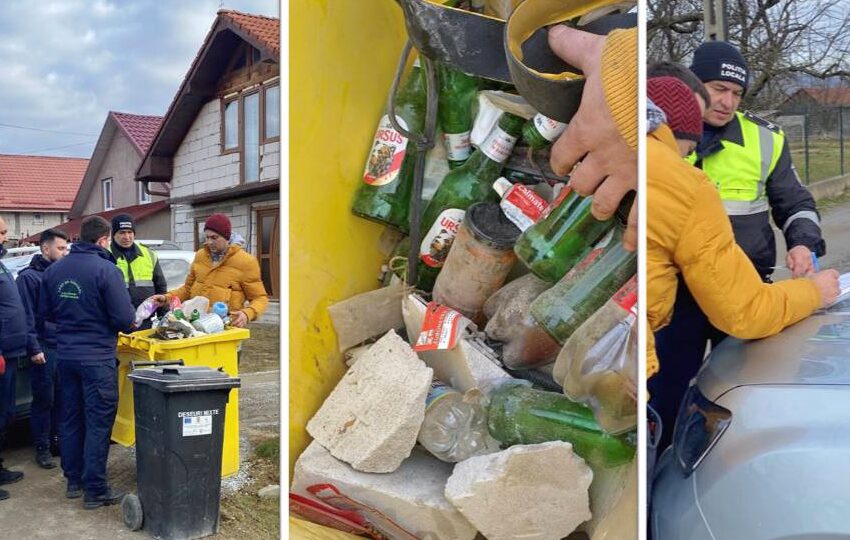 Văruirea pomilor. De ce, când, cu ce și cum se văruiesc pomii? - StiriBN