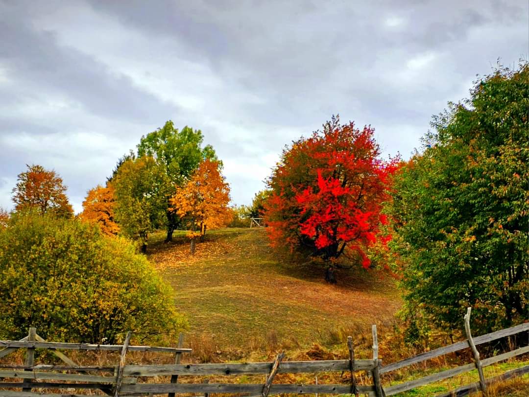 Peisaje superbe de toamnă în zona Lacului Colibița. FOTO - StiriBN
